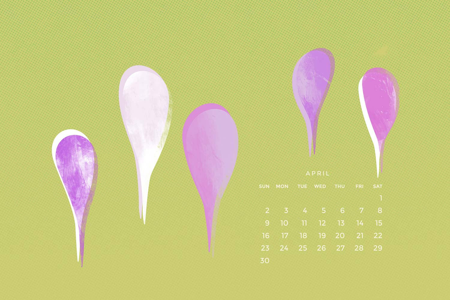 April Graphic Gift: Some Early Blooms for your Screens – Janet Taylor Art